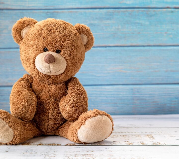 Project Teddy WITS Anaesthesia - My Dainfern
